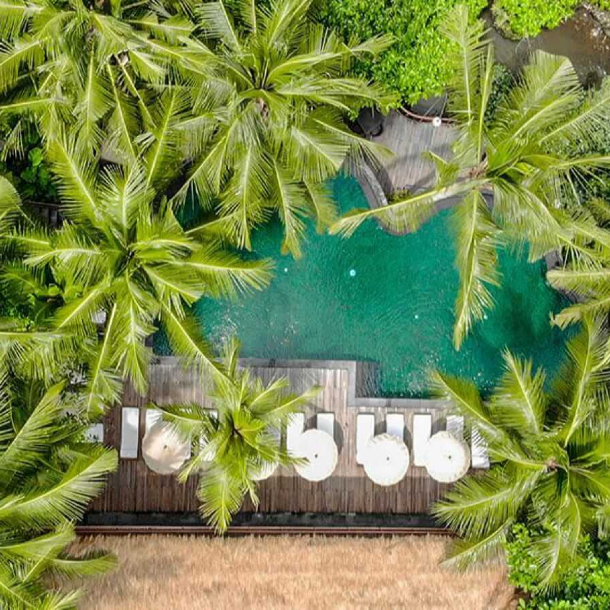 Komaneka at Rasa Sayang Ubud, Indonesia - Wiotto.com