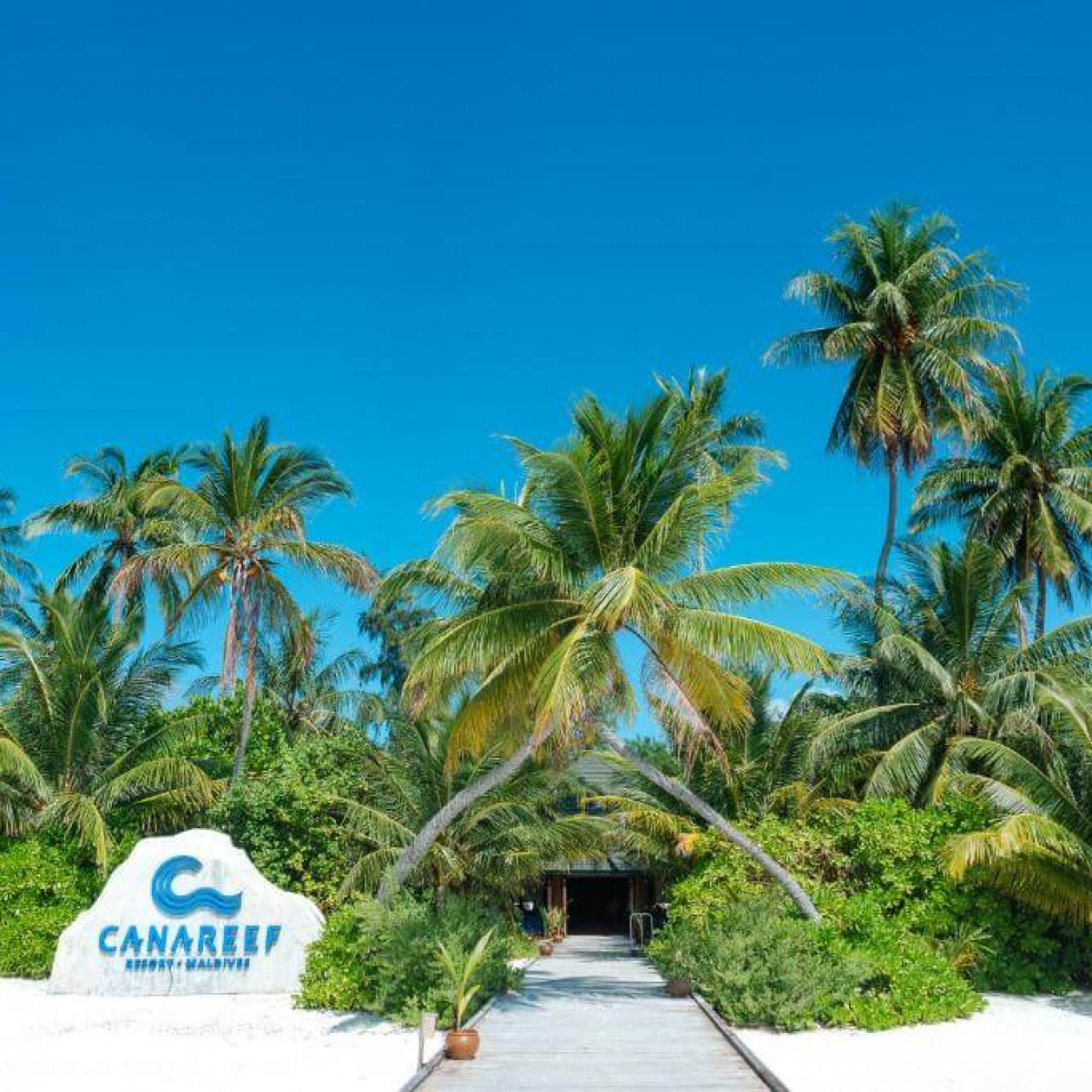Canareef Resort Maldives, Maldives - Wiotto.com